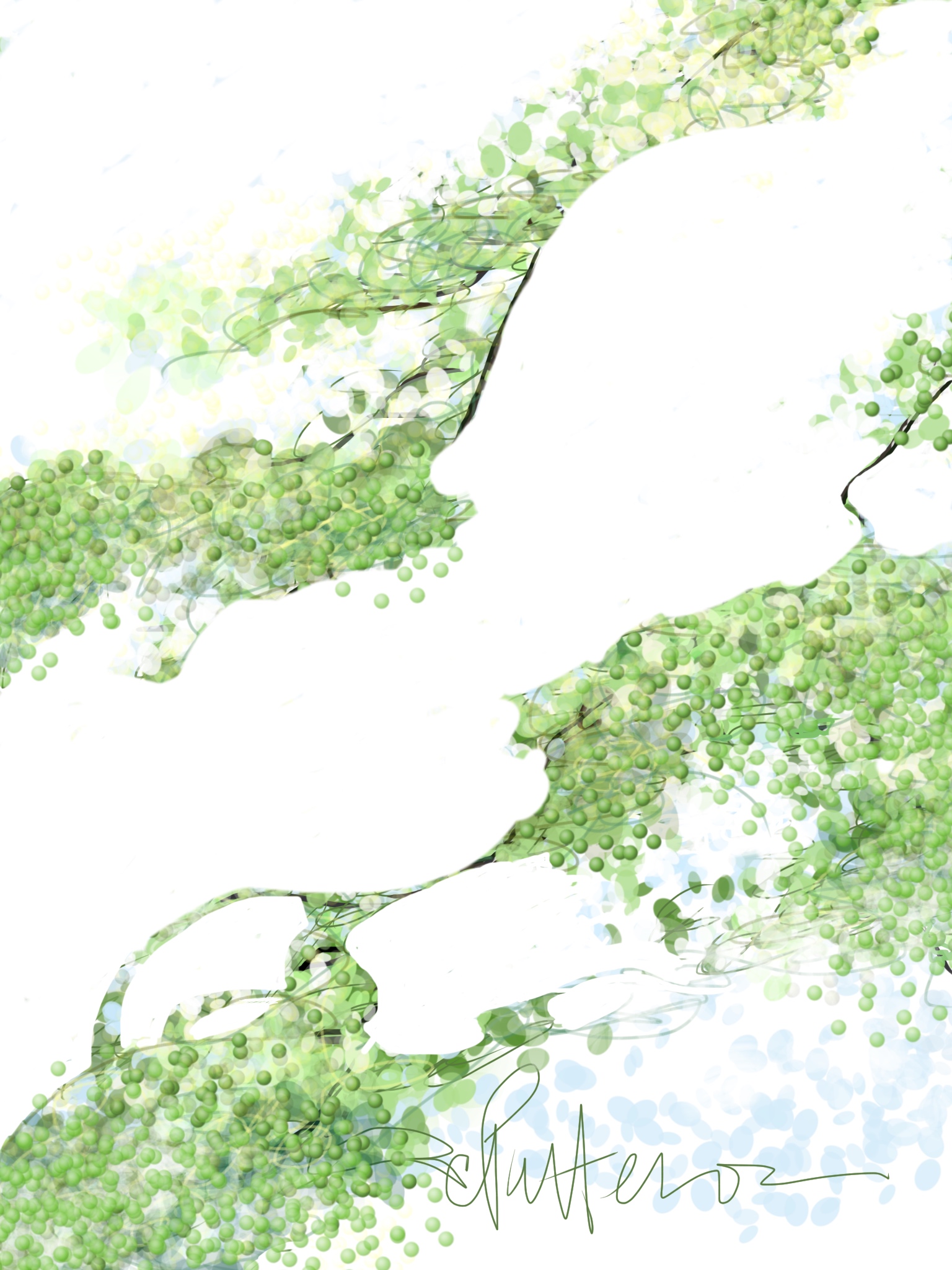 SYMPHONY FOR WIND AND TREES - Constance Patterson Writing