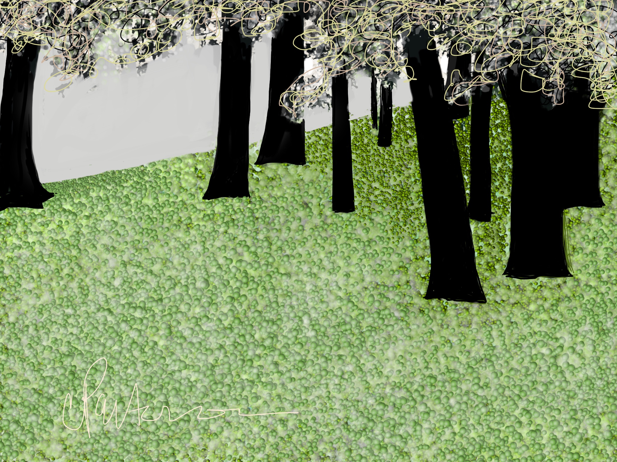 AS LUCK WOULD HAVE IT - Constance Patterson Writing