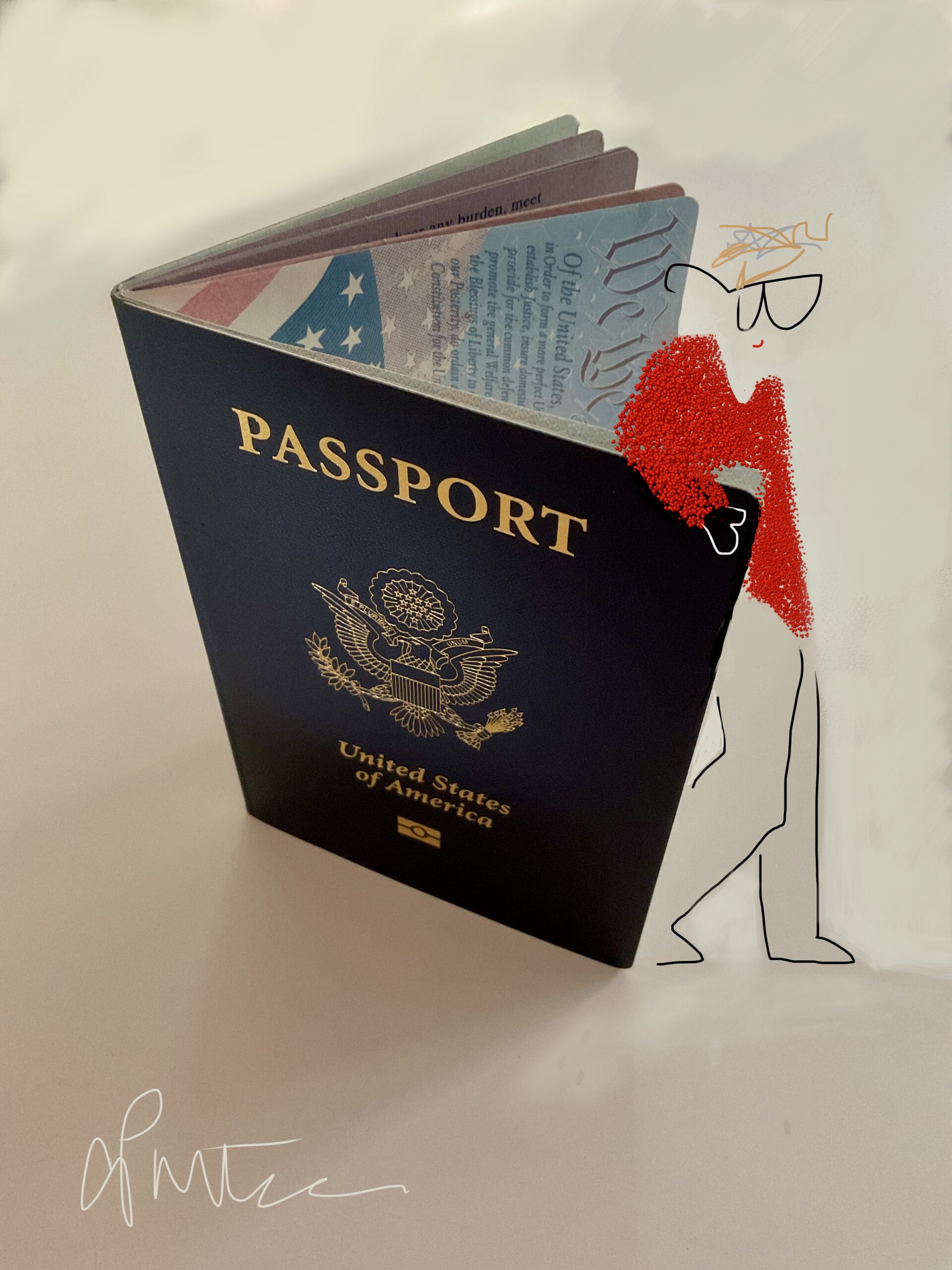 HOME FROM MY TRAVELS - Constance Patterson Writing