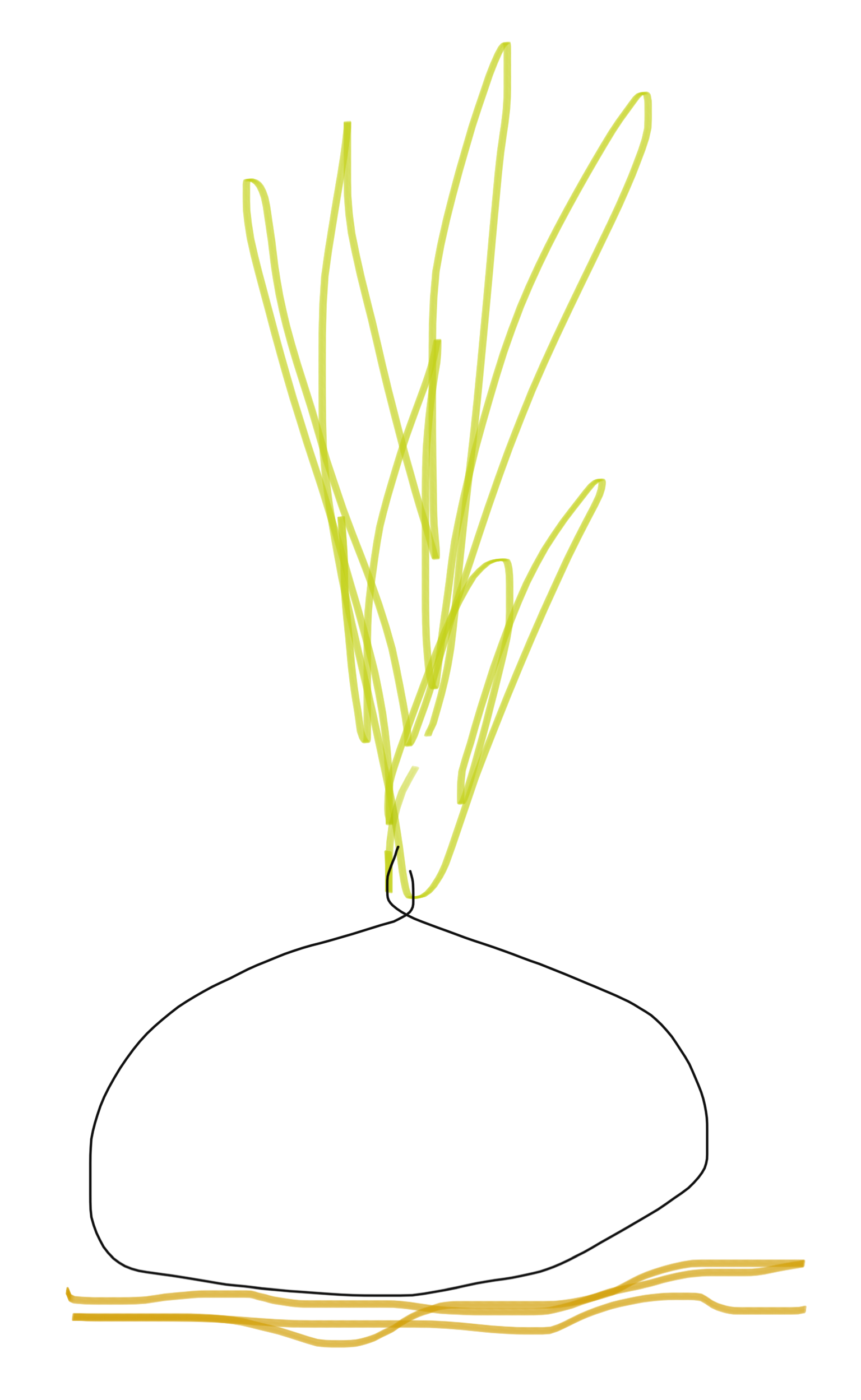 VIDALIA LETTERS - Constance Patterson Writing